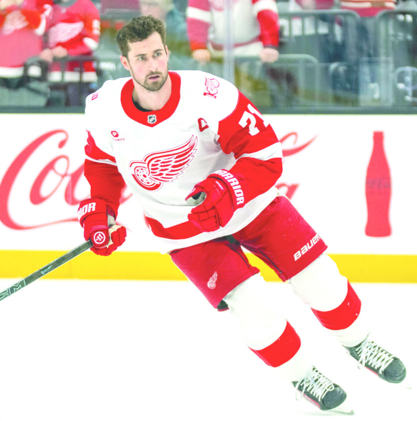 Larkin’s 2nd goal the OT winner for Wings | News, Sports, Jobs - The ...